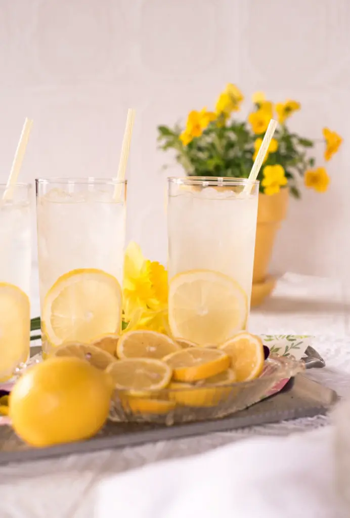 Easy Vodka Lemonade Recipe - Bert Anderson · Me Before Mom